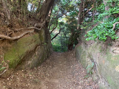 2023 Best 10 Forest Trails in Kamakura | AllTrails