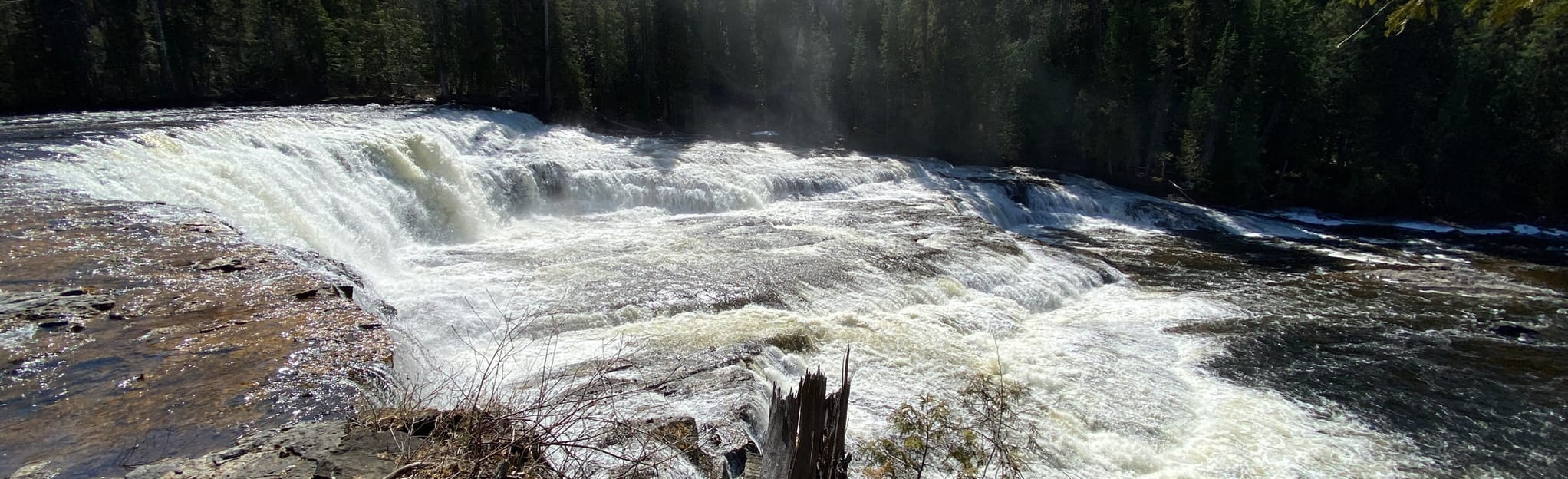 Dawson Falls North, British Columbia, Canada - 25 Reviews, Map | AllTrails