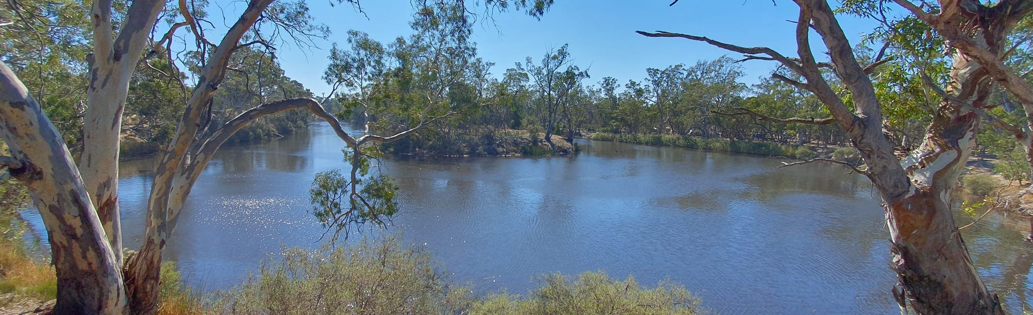 Wimmera River Walk Loop: 31 Reviews, Map - Victoria, Australia | AllTrails