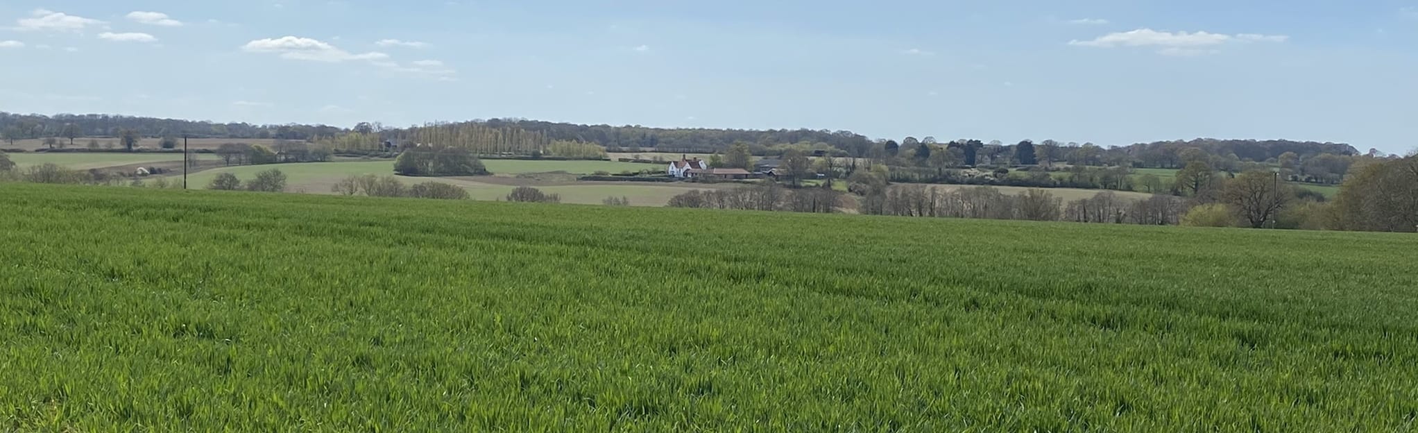 Halstead and Greenstead Green Circular, Essex, England - 17 Reviews ...