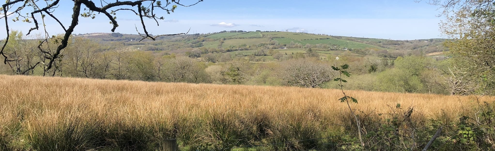 Furnace Pond Circular: 7 Reviews, Map - Carmarthenshire, Wales | AllTrails