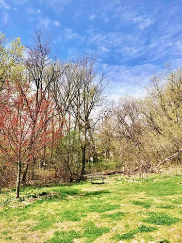 Moses Springer Park: de beste routes om te wandelen | AllTrails