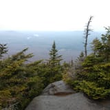 Debar Mountain Trail, New York - 165 Reviews, Map | AllTrails