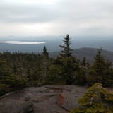 Debar Mountain Trail, New York - 165 Reviews, Map | AllTrails