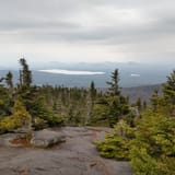 Debar Mountain Trail, New York - 165 Reviews, Map | AllTrails