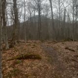 Debar Mountain Trail, New York - 165 Reviews, Map | AllTrails