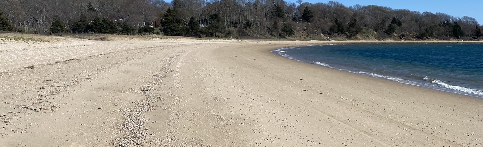 Cedar Point: 107 Reviews, Map - New York | AllTrails