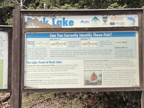 Best Hikes and Trails in Rock Lake Provincial Park | AllTrails