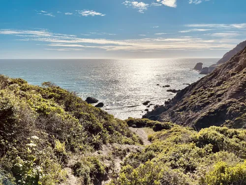 10 Best Trails and Hikes in Mill Valley | AllTrails