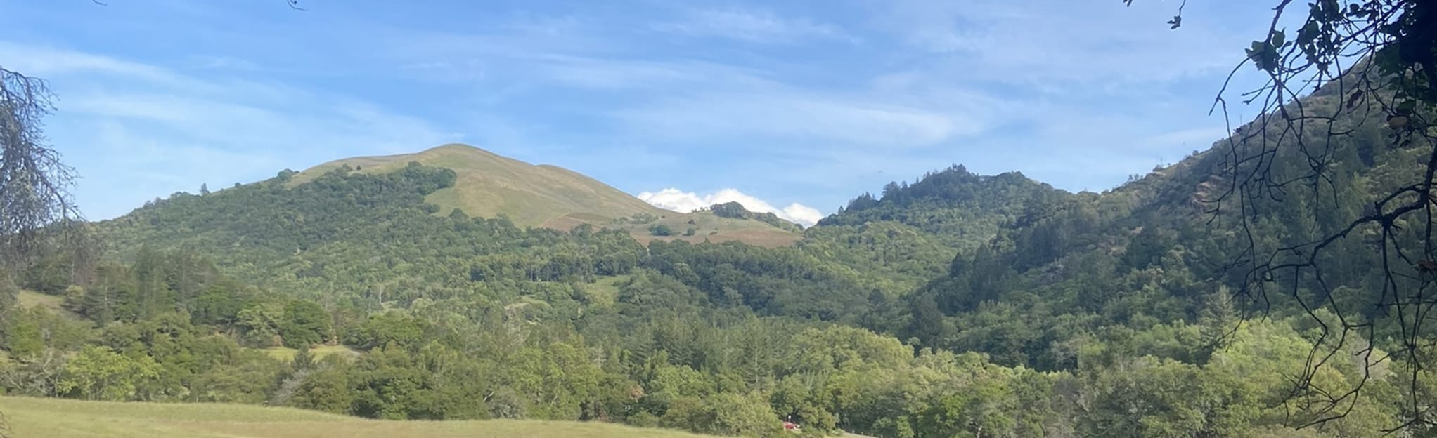 Pony Gate, Bald Mountain Trail, and Lower Bald Mountain Trail Loop: 140 ...