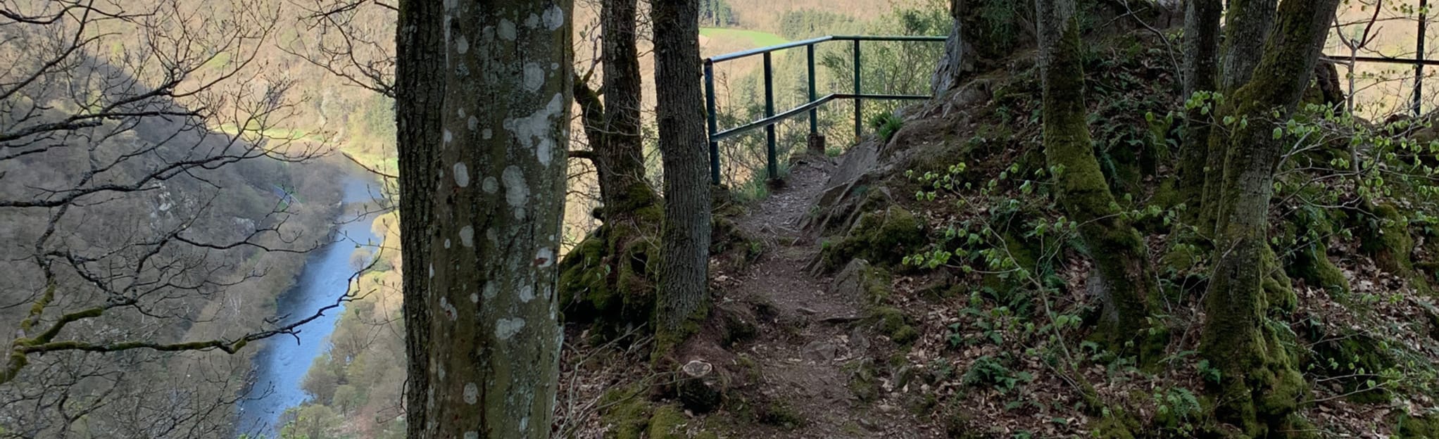 AllTrails | Fridhaff Wanderweg DK1: 6 Reviews, Map - Diekirch, Luxembourg