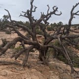 Moon House Ruins, Utah - 96 Reviews, Map | AllTrails
