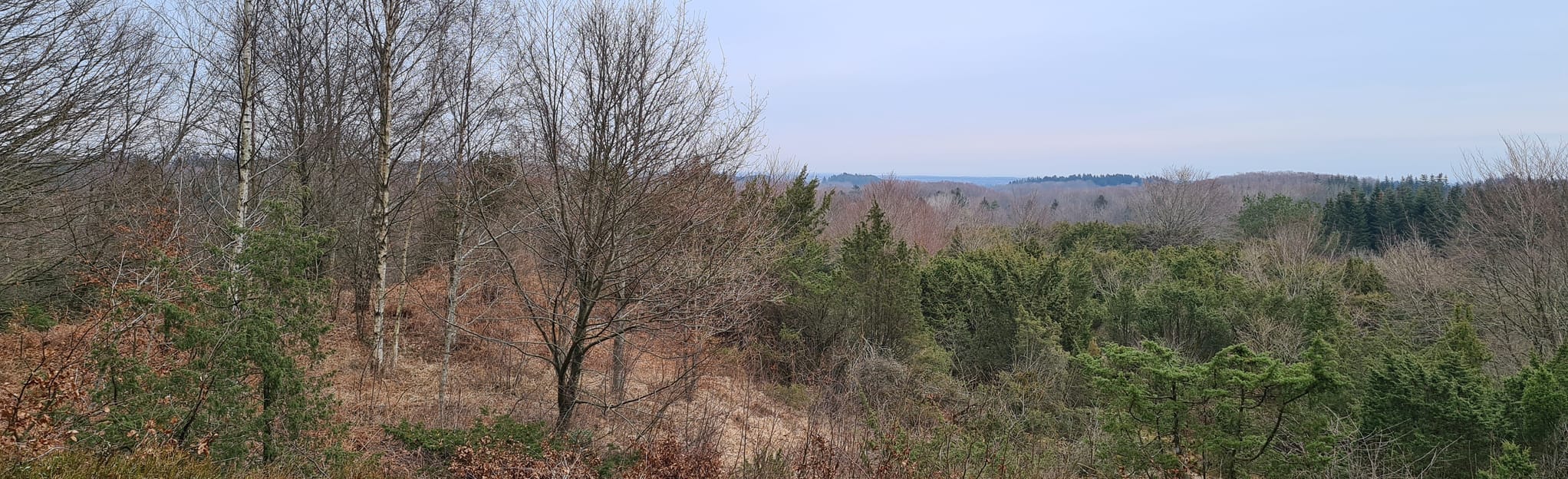 Tolne Skov Rundt: 4 Reviews, Map - North Denmark, Denmark | AllTrails