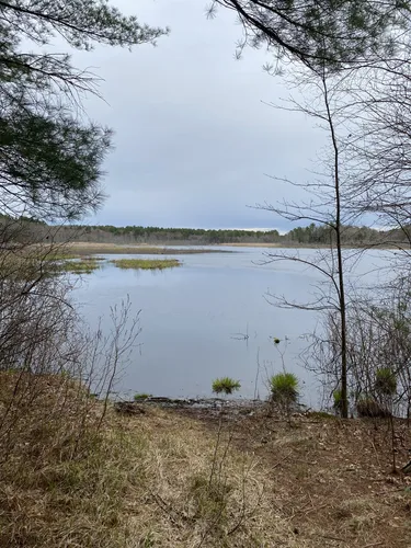 Best Hikes and Trails in Ross Marsh Wildlife Area | AllTrails