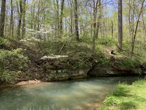 Best Hikes and Trails in Spring Mill State Park | AllTrails
