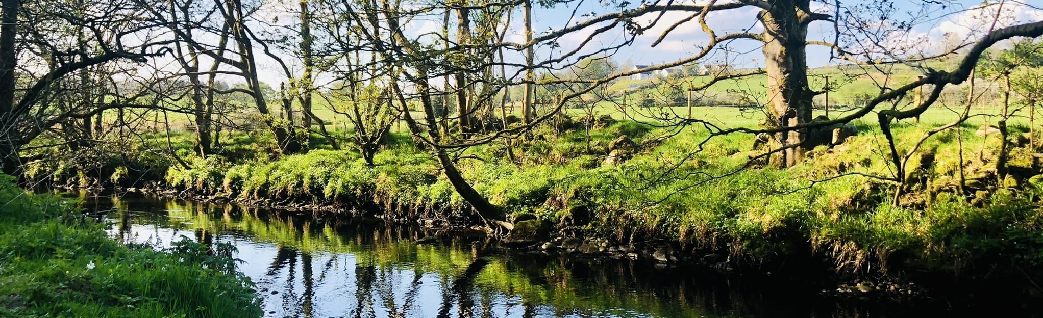 Learmount Forest Walk: 10 Reviews, Map - Derry City and Strabane ...