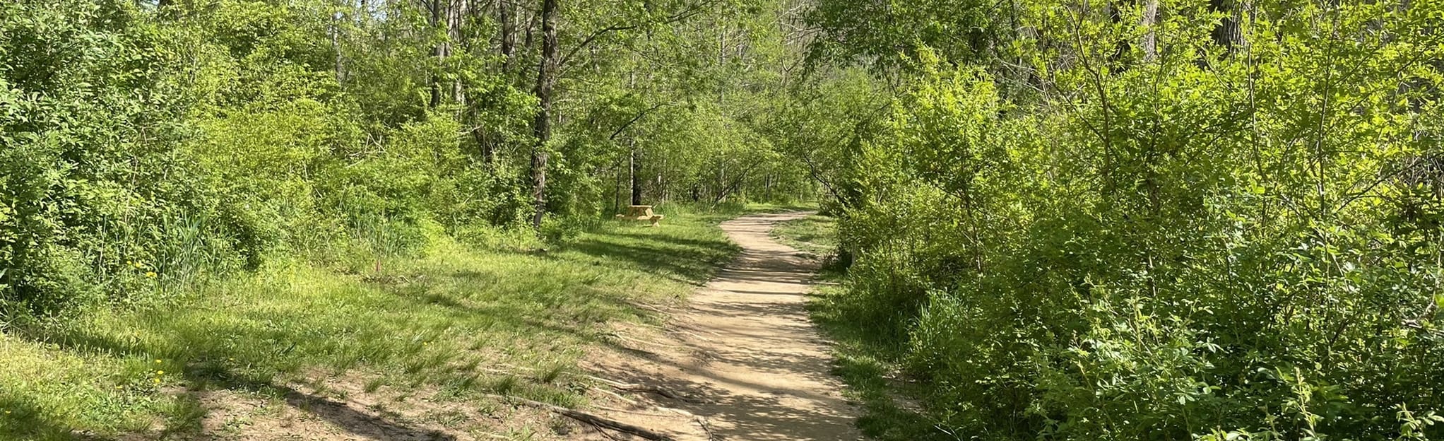 Hominy Creek Greenway: 345 Reviews, Map - North Carolina | AllTrails