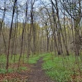 Courthouse Park, Minnesota - 64 Reviews, Map | AllTrails
