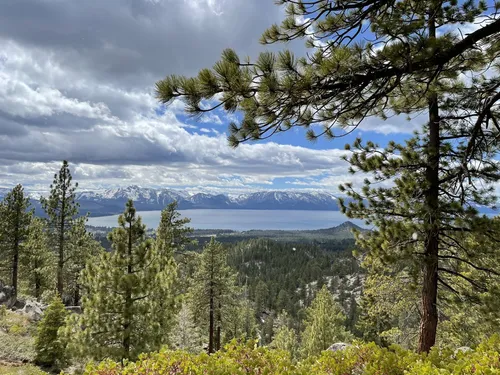 10 Best Trails and Hikes in Stateline | AllTrails