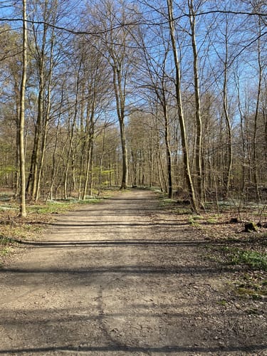 2023 Best trails in Virum | AllTrails