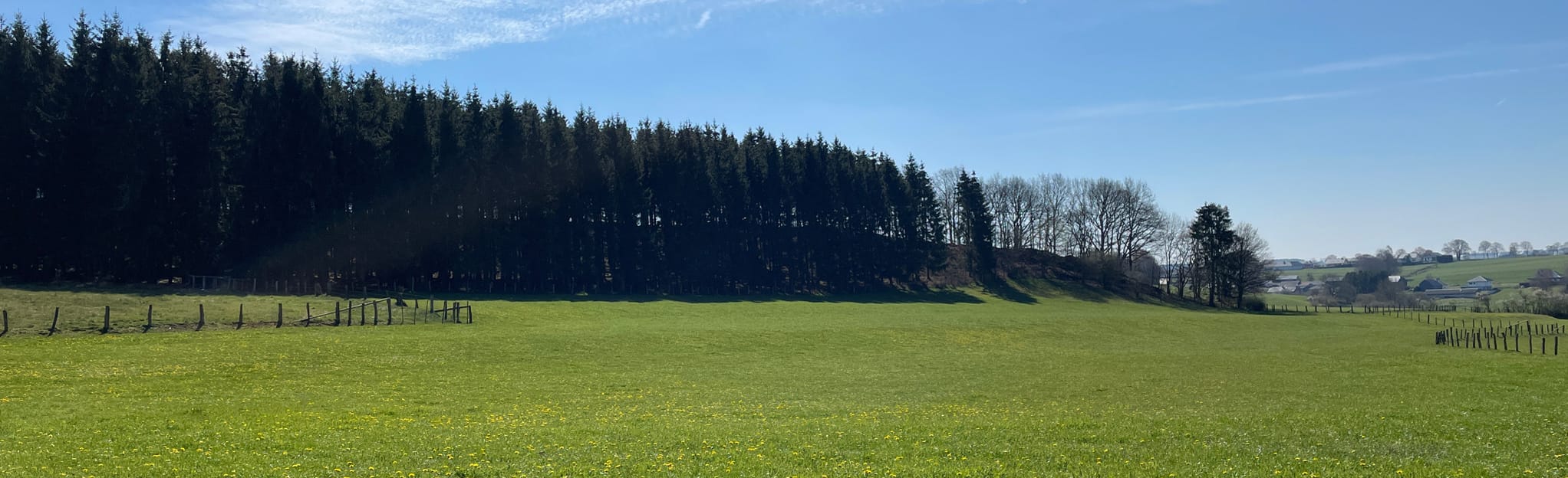 Autopédestre Hachiville, Clervaux, Luxembourg - Map, Guide | AllTrails