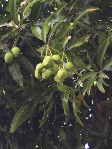 2023 Best 10 Trails and Hikes in Quezon City | AllTrails