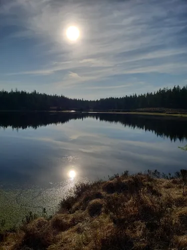 10 Best Hikes and Trails in Wild Nephin National Park | AllTrails