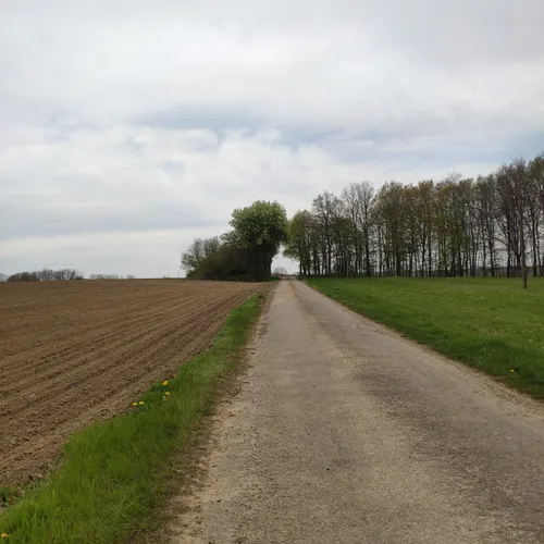 10 Best Walking Trails in Haute-Sûre Forêt d'Anlier Nature Park | AllTrails