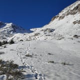 The Collegiate Loop, Colorado - 83 Reviews, Map | AllTrails