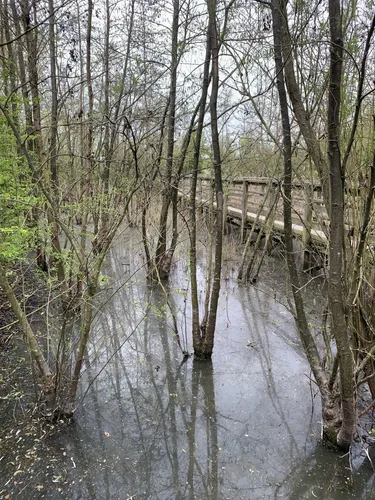 Best Walking Trails in Wickford | AllTrails