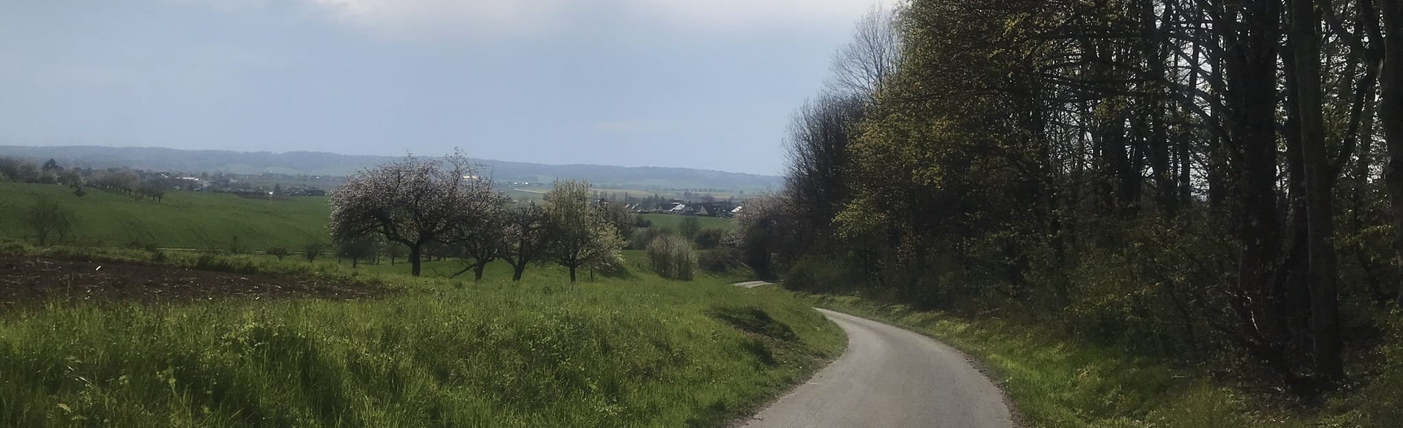 Bernbach Kapellen Tour: 1 Reviews, Map - Hesse, Germany | AllTrails