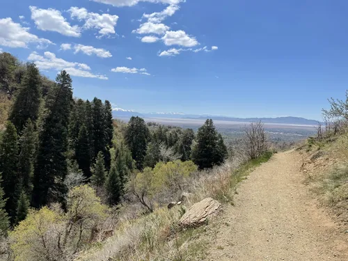 10 Best Trails and Hikes in Layton | AllTrails