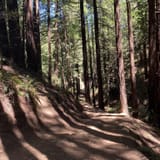 Tres Sendas Trail, California - 259 Reviews, Map | AllTrails