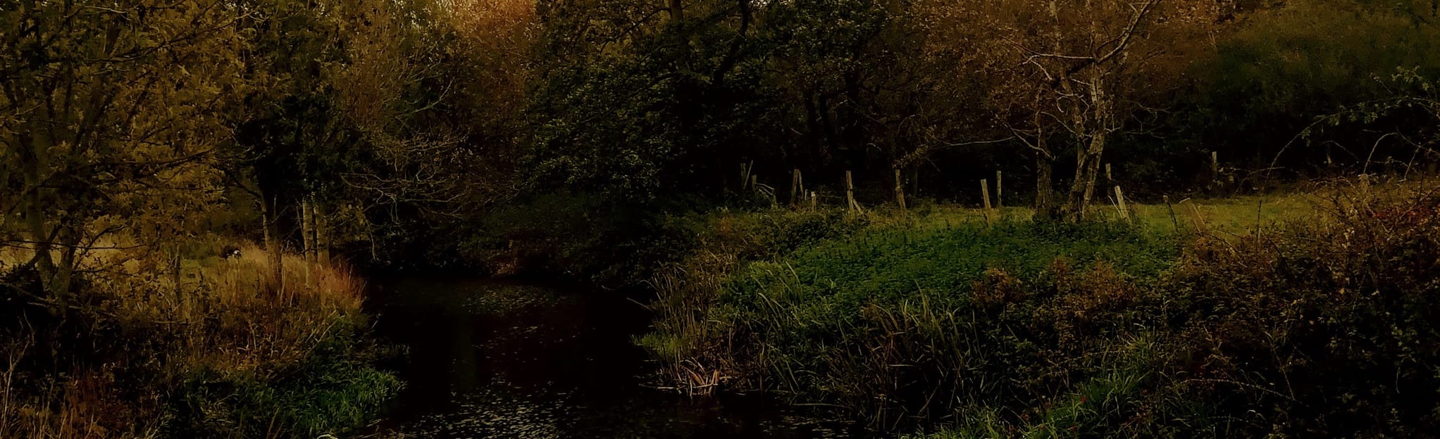 Edenbridge Circular | Map, Guide - Kent, England | AllTrails