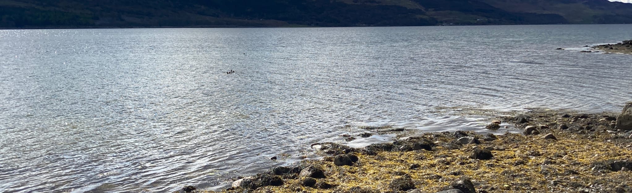 Taynish National Nature Reserve, Argyll and Bute, Scotland - 6 Reviews ...