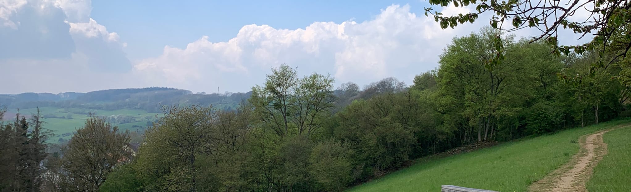 Oberfeulen Ettelbruck MTB, Diekirch, Luxembourg - 4 Reviews, Map | AllTrails