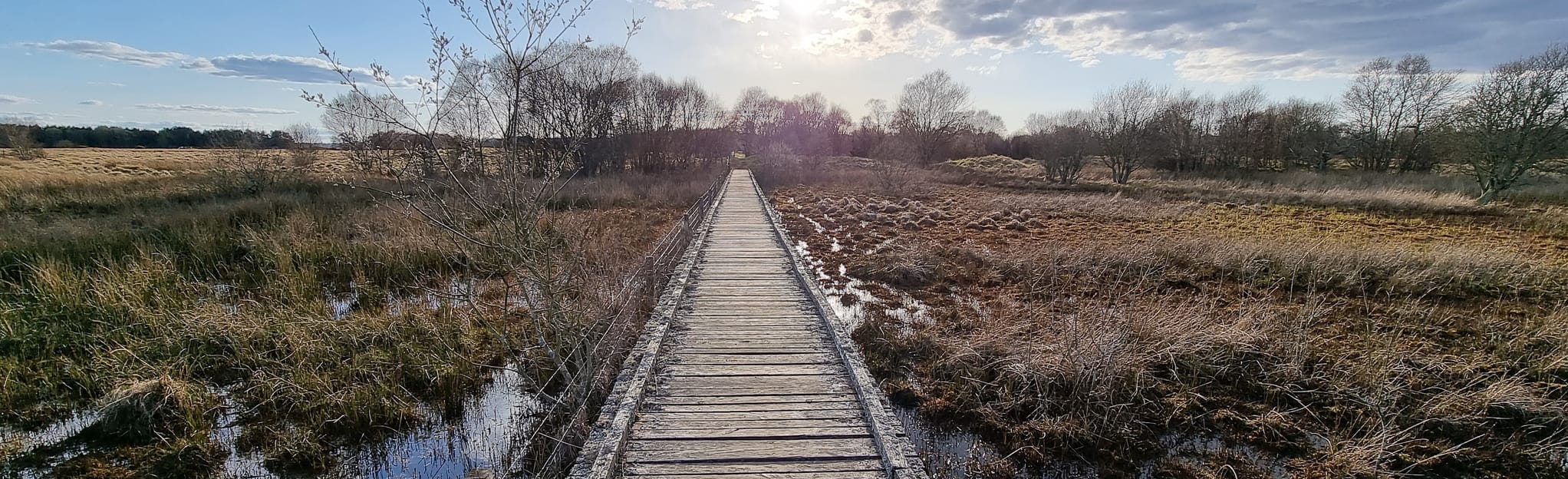 Leuchars Circular, Fife, Scotland - 18 Reviews, Map | AllTrails