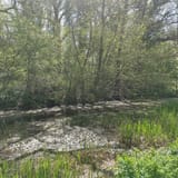 Fourteen Locks and Monmouthshire Canal Walk, Newport, Wales - 114 ...
