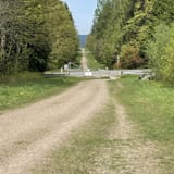 Tolt Pipeline Trail, Washington - 353 Reviews, Map | AllTrails