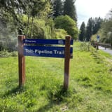 Tolt Pipeline Trail, Washington - 353 Reviews, Map | AllTrails