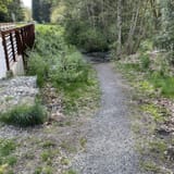 Tolt Pipeline Trail, Washington - 353 Reviews, Map | AllTrails