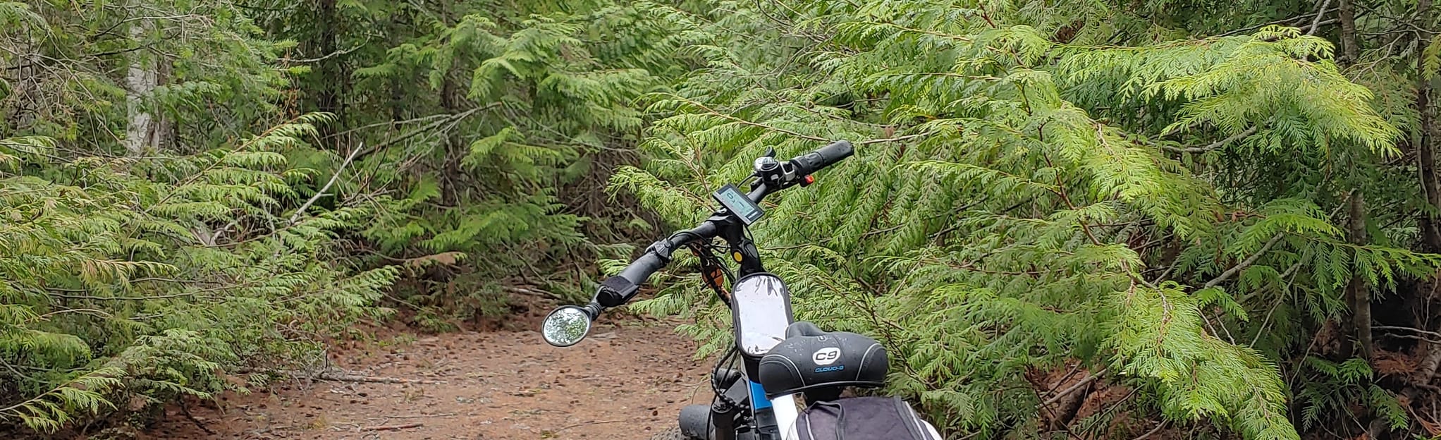 Wolf Way, British Columbia, Canada - 16 Reviews, Map | AllTrails