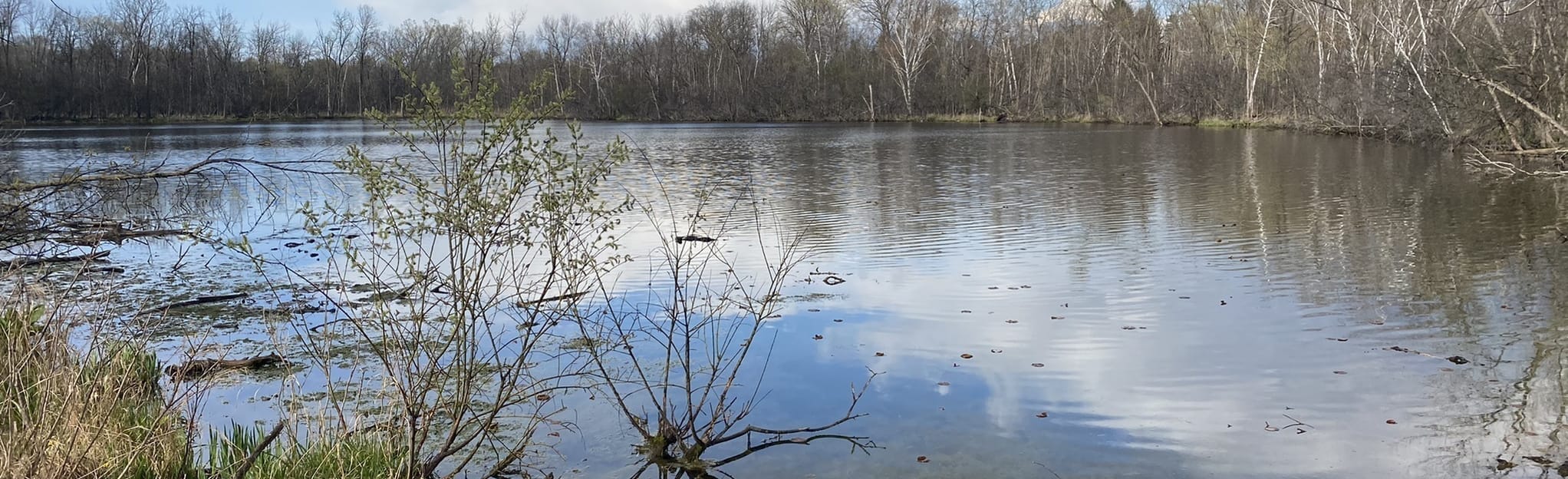 Cotton Creek to Rainbow Lake Trail: 43 Reviews, Map - Wisconsin | AllTrails