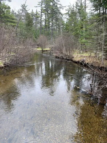 Best Hikes and Trails in Hartwick Pines State Park | AllTrails