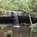 Lower Kalimna Falls, Victoria, Australia - 128 Reviews, Map | AllTrails