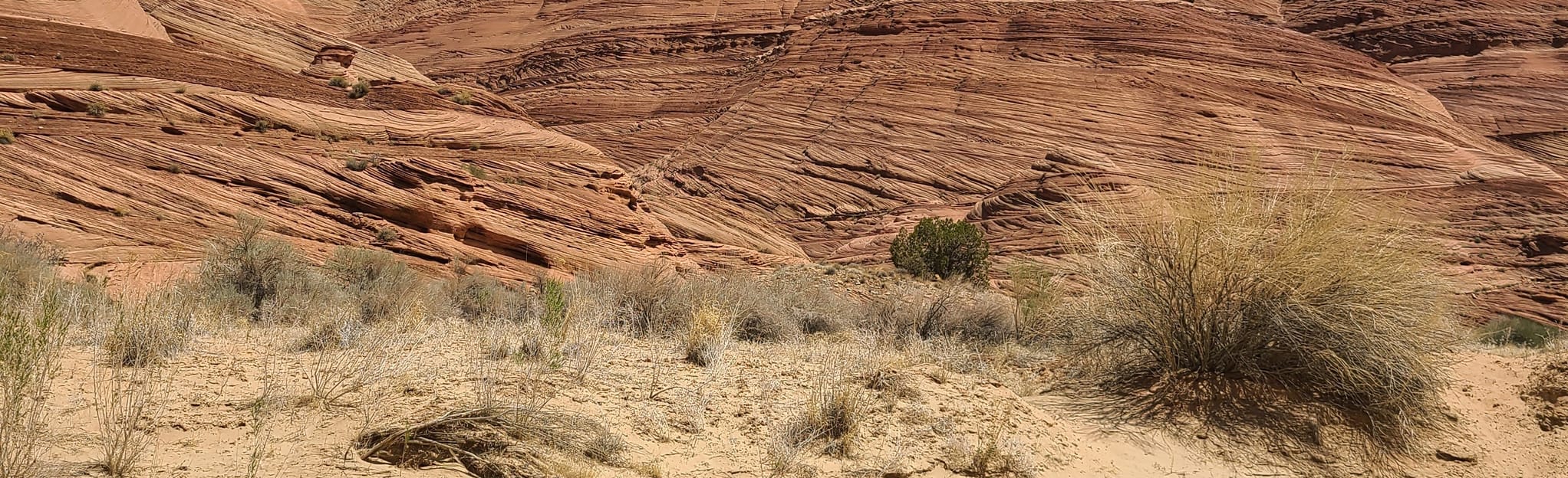 Paria Canyon: White House Trailhead to Buckskin Gulch | Map, Guide ...