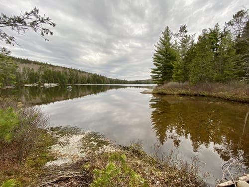 Best Hikes and Trails in Amherst Mountains Community Forest | AllTrails