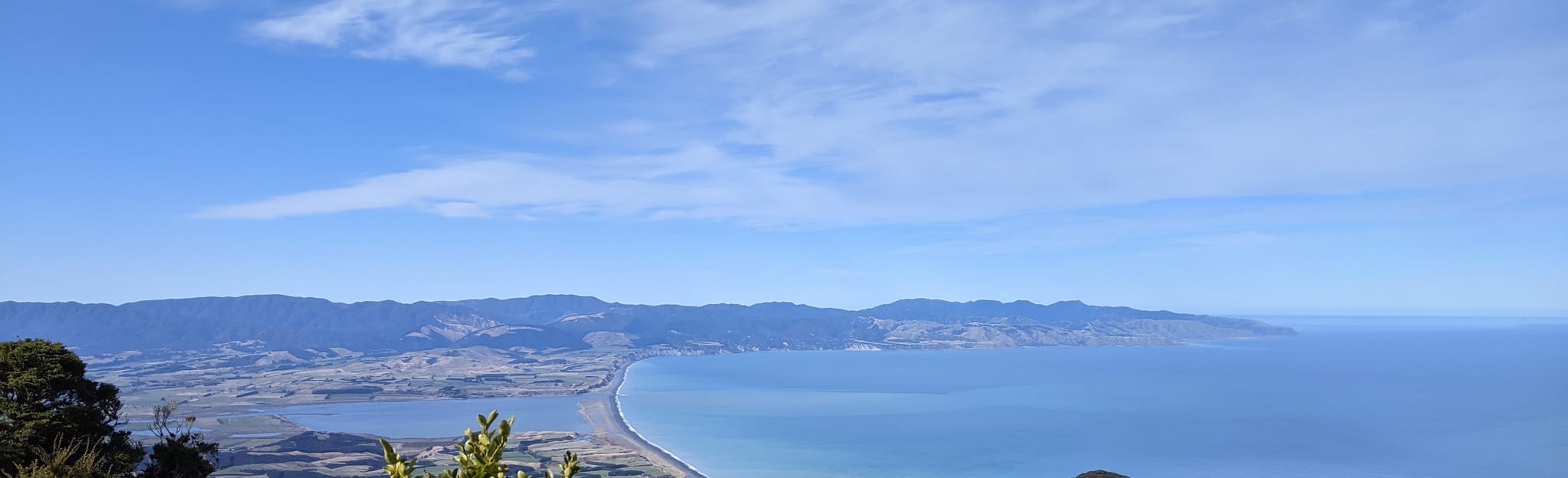 Mt Matthews Summit: 28 Reviews, Map - Wellington, New Zealand | AllTrails