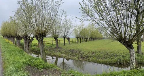 10 Best Trails and Hikes in Houten | AllTrails