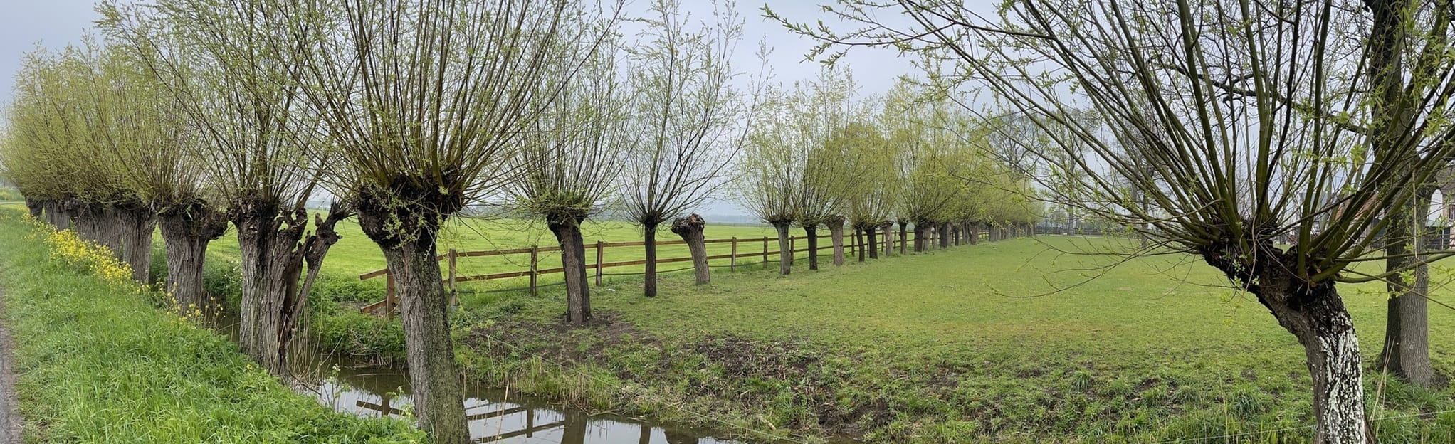 Rietplas - Rietdijk, Utrecht, Netherlands - 6 Reviews, Map | AllTrails